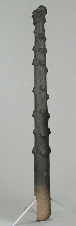 Hitching Post; Cast Iron, Tree Trunk, Molded Cut Off Branches, 52 inch.