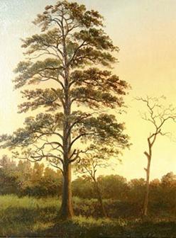 Calame, Alexander; Oil on Panel Landscape Painting, signed, Lone Pine Tree.