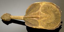 Ceremonial; Iroquois, Rattle, Turtle Shell, 22 inch.