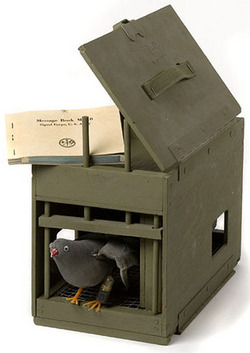 Military Signal; Messenger Pigeon Box, US Army Signal Corps, WWI.