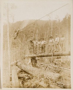 Photograph (04); Kinsey (Darius), signed, Logging Scenes.