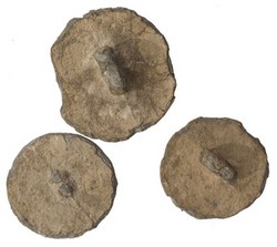 Button (3); Revolutionary War, Continental, Pewter, USA, Relic.