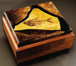 Inlaid Wood; Box, Rapp (Stephen), Fossil Fish Inlay, Limestone & Walnut ...