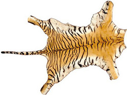 Taxidermy; Tiger, Hide Rug, 8 ft.
