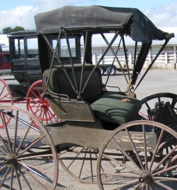 Buggy; Runabout, Canopy Top, Shafts.