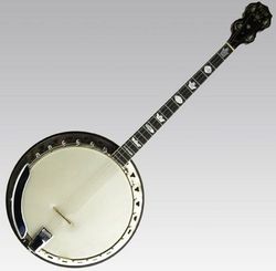 Strings; Banjo, Vega, VIP, 4 String.