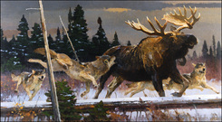 Kuhn, Robert F; Acrylic Painting, signed, A Matter of Odds, Wolves ...