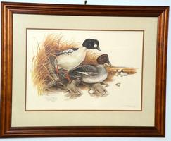 Whitlatch, Don; Print, signed, Golden Eye Ducks, 30 inch.