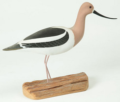 Shorebird Decoy; Shourds (HV), Avocet, Carved & Painted, signed 1989.